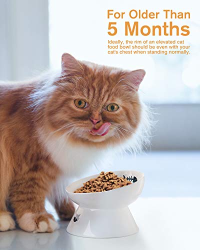 immaculife Ceramic Raised Cat Food Bowl for Elder Big Cats, Elevated Cat Dish, Tilt Angle Protect Cat's Spine, Stress Free, Backflow Prevention, Gift for cat