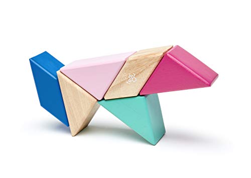 6 Piece Tegu Pocket Pouch Prism Magnetic Wooden Block Set, Blossom