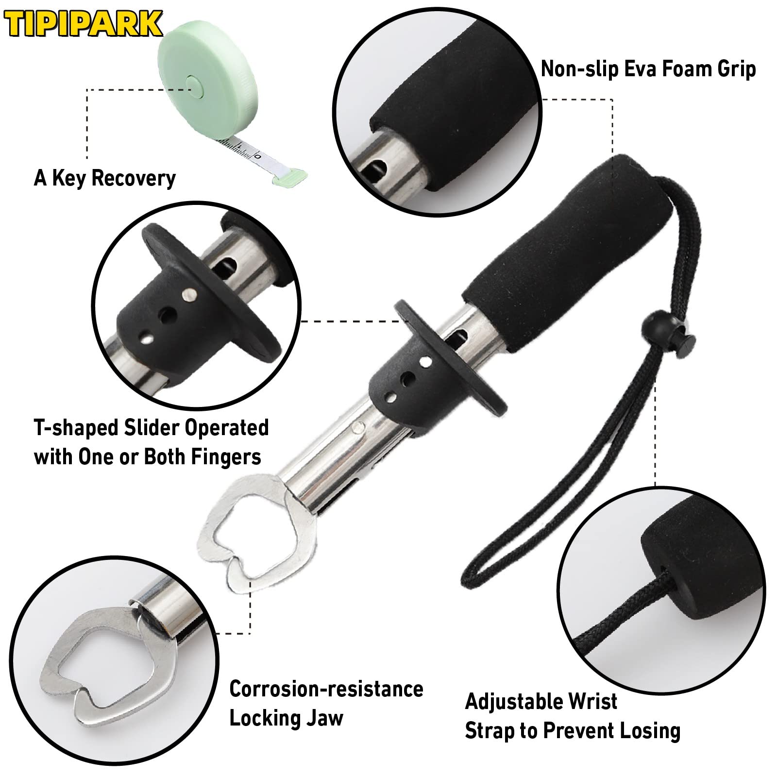2 Pieces Mini Fish Lip Gripper - Fish Gripper Tool Stainless Steel Caught Fish Eva Handle with 2 Tape Measure Scale