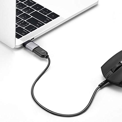 BoxWave Cable Compatible with Blackview BV6800 Pro - USB-C to A PortChanger (2-Pack), USB Type-C OTG USB Portable Keychain - Slate Black