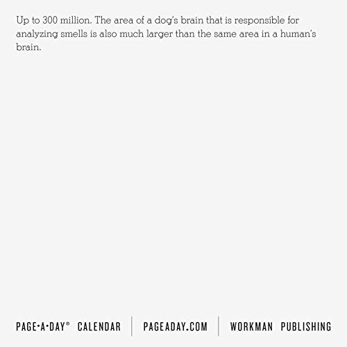 365 Days of Amazing Trivia! Page-A-Day Calendar 2021