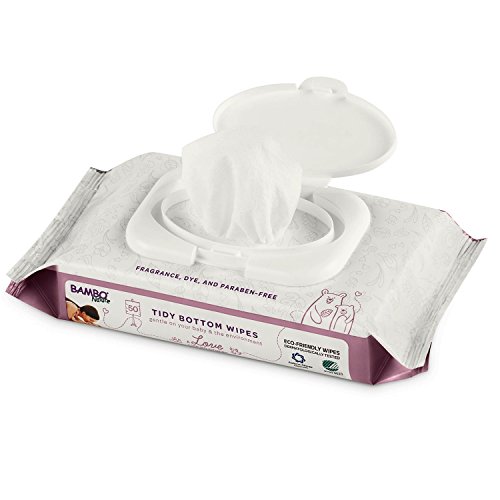 Bambo Nature Tidy Bottoms Eco-Friendly Baby Wipes, 1,200 Count (24 Packs of 50)