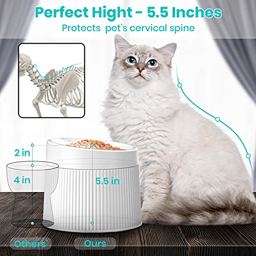 iPettie Elevated Cat Food Bowl Cat Dish, Tilted Pet Feeding Station with Stand for Small Dog, Made from Certified Food-Safe Plastics, Better Than Stainless Steel and Ceramic