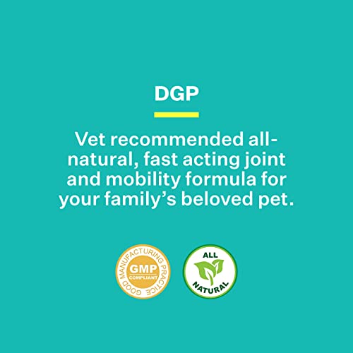 American BioSciences DGP, Joint Supplement for Dogs - Joint Support with Turmeric, Boswellia Extract & More - Quick Effect for Immediate Mobility Support - 60 All-Natural Chewable Pet Tablets (2 Pack)