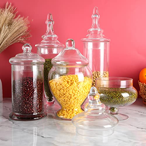 5 Pieces Glass Apothecary Jars with Lids Large Candy Buffet Display Decorative Jars Clear Storage Jars Candy Bar Organizer Canisters for Kitchen Bathroom Wedding Party, 5 Shapes