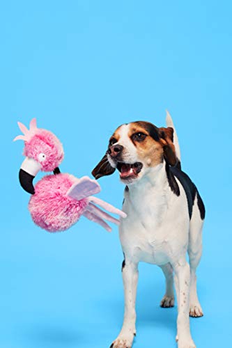 Barkbox Dog Rope Toys - Durable Tug Toys for Chewers, Puppy Teething, and Small, Medium, and Large Dogs | Bert of Paradise