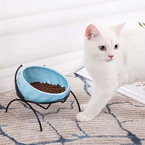 Jemirry Ceramic Elevated Cat Bowl Anti Vomiting, 15° Tilted Food and Water Cat Bowl Set, Raised Pet Bowl with Non-Slip Stand for Cat and Dog, Protect Pet's Spine, Microwave Dishwasher Safe, Sky Blue