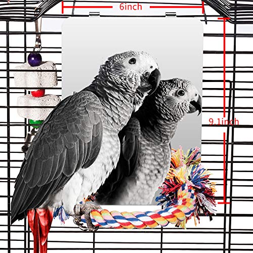Colorday 9 inch Stainless Steel Bird Mirror with Rope Perch, Bird Toys Swing (Large)