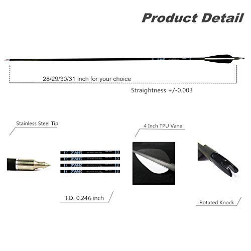 12 Pack Archery Carbon Arrows 350 Spine Shafts with Field Points for Compound and Recurve Bows Target Shooting Hunting(31 Inch)