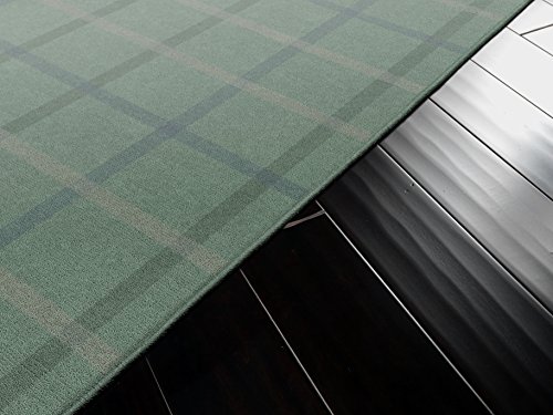 Brumlow Mills Muted Checkered Plaid Print Home Indoor Non-Slip Area Rug for Living Room or Bedroom Carpet, Dining, Kitchen Rug or Doorway Mat, 3'4" x 5', Green