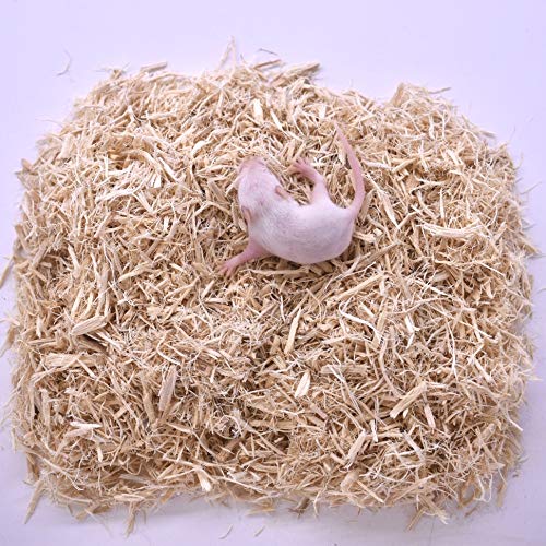 MiceDirect Frozen Small Fuzzie Feeder Mice Food for Juvenile Hognose, Corn & Milk Snakes (20 Count)