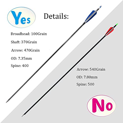 12Pack 30-inch Carbon Arrow with 4" Turkey Feathers, Hunting/Targeting Arrow for Compound Recurve Longbow (Blue)