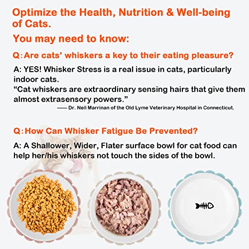 ๐ฎ๐ฌ๐ฎ๐ฏ ๐๐๐ Anti Whisker Fatigue Cat Bowls, Healthy Ceramic Cute Flat Cat Food Bowl for Indoor Cats, Cat Dishes Shallow Wide Cat Plates for Wet Food, Small Whisker Friendly Pet Cat Feeding Bowls