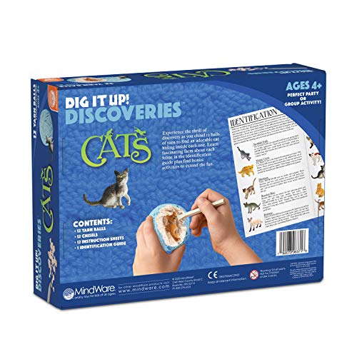 MindWare Dig It Up Discoveries: Cats β Party-Sized 12-Pack of Educational Discovery Digs for Kids with Tools & Fun Facts β Learn All About Cats!