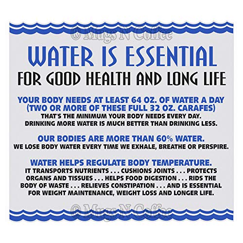 32 oz Insulated Cold Drink Hospital Mug with Blue Lid | Water Essential Travel Mug
