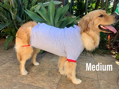 Short Sleeve Shirt for Dogs New! from POP FOR PETS (Large Red) - Better Than The Cone! POPforPETS Cotton Shirt for Larger Dogs. The Most Comfortable Alternative for Recovery!