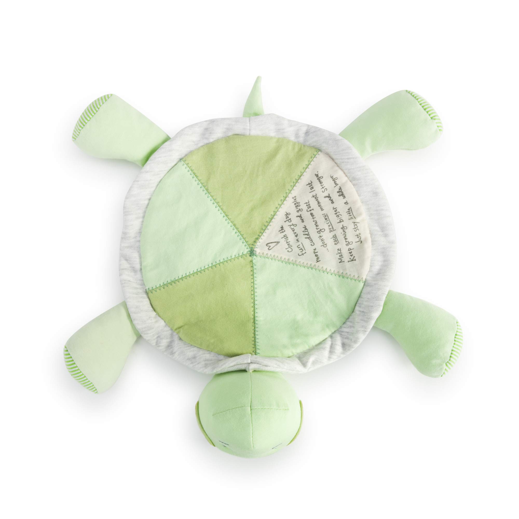 DEMDACO Sea Green Grow Slow Turtle Cotton Plush Children's Stuffed Animal Blankie
