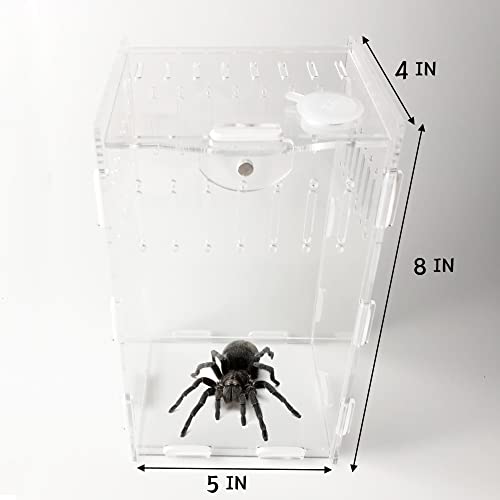 5x4x8 inch Magnetic Acrylic Reptile Case, Vertical Transparent Tarantula Enclosure Tank, Micro Habitat Terrariums Suitable Insect, Snails, Hermit Crabs, Lizards, Frogs, clear, Vertical:5x4x8(LxWxh)in