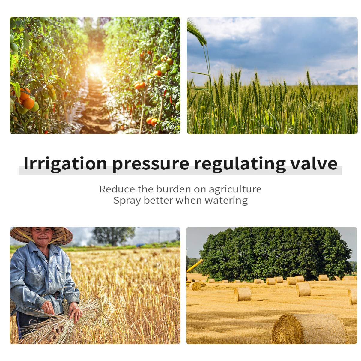 Scicalife Water Pressure Regulator Drip Irrigation Valve 3/4 inch 25 PSI Drip Irrigation Regulating Watering System Replacement for Garden Park