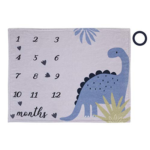 Carter's Dino Adventure Gray & Blue French Fiber Baby Milestone Blanket, Grey, Blue, Navy