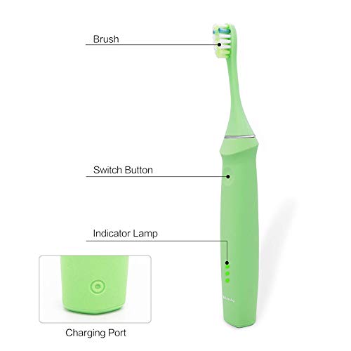 MICESHU Sonic Electronic Toothbrush for Adults, Cleaning with 3 Modes IP67 Waterproof Rechargeable Toohthbrush with 2pcs Replacement Dupont Brush Heads (Green)