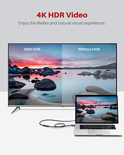 IVANKY USB C Extension Cable 1.5ft [100W, 20Gbps], USB-C 3.1 Gen 2 Male to Female 4K Video Cable, Compatible with MacBook Pro/Air, Samsung, Nintendo Switch and More