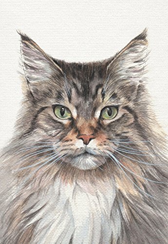 Animal Box: 100 Postcards by 10 Artists (100 postcards of cats, dogs, hens, foxes, lions, tigers and other creatures, 100 designs in a keepsake box)
