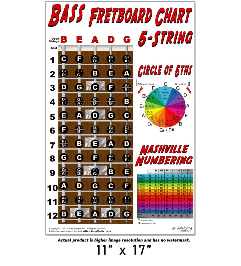 5 String Bass Fretboard Poster - Nashville Numbering System, Circle of 5ths, Notes Instructional Chart | A New Song Music | 11x17