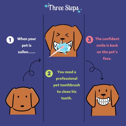ANTOLL Pets Silicone Soft Head Dog cat with Toothbrush Dog cat Teeth Cleaning Health Care(4-Parks)