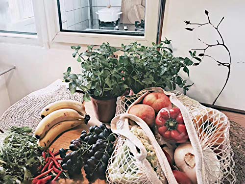Ahyuan Ecology Reusable Cotton Mesh Grocery Bags 5Pack Long Hand Portable Washable Cotton Mesh String Organizer Shopping Bag Net Shopping Bags Net Tote Mesh Bags Fruit and Vegetable Bag (Beige)