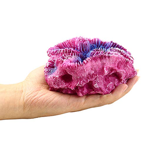 Danmu 1Pc of Polyresin Coral Ornaments, Aquarium Coral Decor 4 7/10" x 1 9/10" x 4 7/10" for Fish Tank Aquarium Decoration