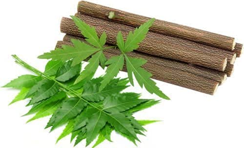 RNB Store 100 Pc Natural Neem Chew Sticks Datun Ayurvedic Organic Toothbrush for Brushing Teeth, Remove Bad Breath & Germs, Relieve Tooth Ache