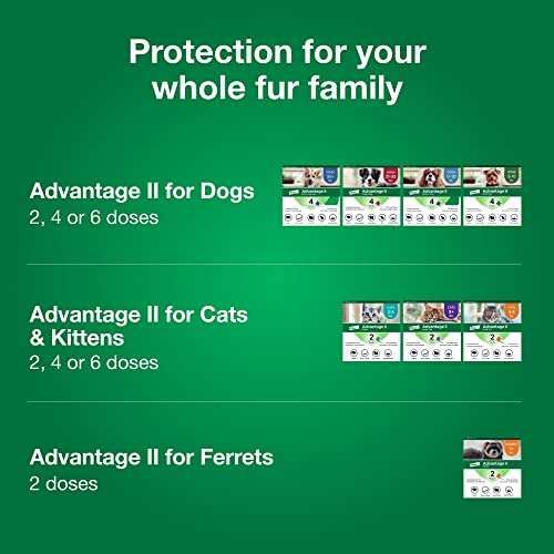 Advantage II Small Cat Vet-Recommended Flea Treatment & Prevention | Cats 5-9 lbs. | 3-Month Supply