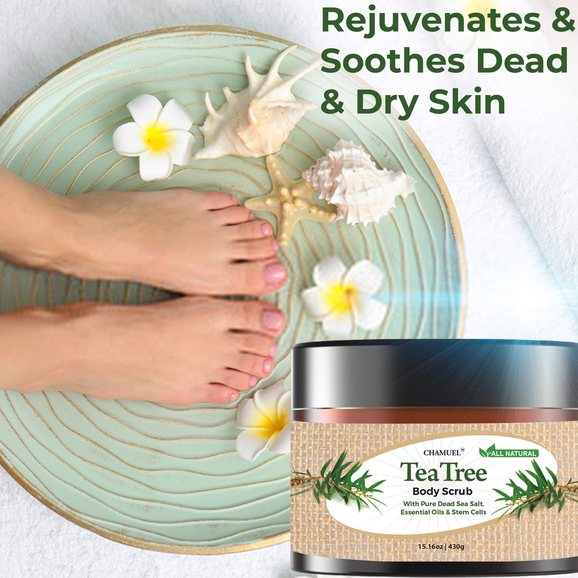 Chamuel Tea Tree Body & Foot Scrub - 100% Natural Exfoliating Body Scrub with Dead Sea Salt, Plant-based Stem Cells, Ginger & Essential Oils– Rejuvenates & Soothes Dead & Dry Skin (15.1oz)