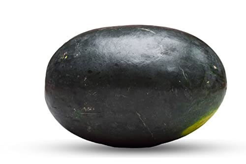50 Black Diamond Watermelon Seeds for Planting - Heirloom Non-GMO Fruit Seeds for Planting - Grows Big Giant Watermelons Averaging 30-50 lbs