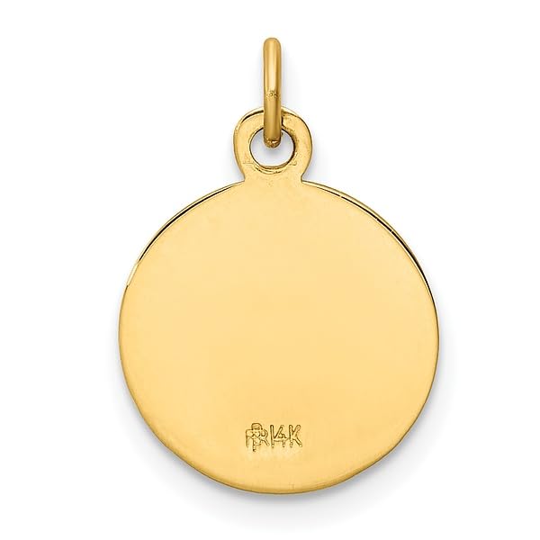 14K Yellow Gold Our Lady of Mt. Carmel Medal Necklace Charm Pendant Only