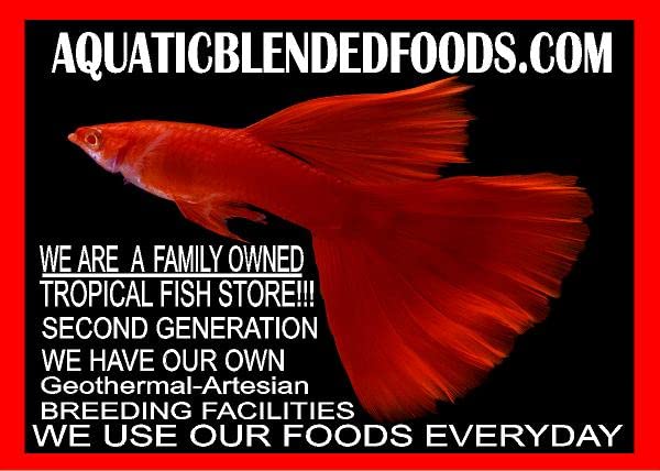 AQUATICBLENDEDFOODS Gourmet Axolotl Soft Food Pellet Mix 3.2mm & 4.0mm & Mini BLOODWORM Sticks (2oz) - ABF7