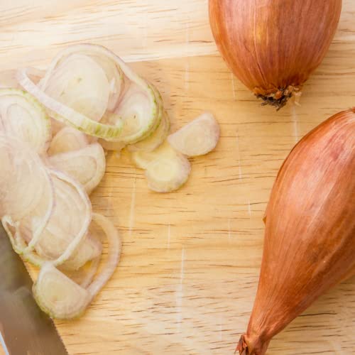 Park Seed Classic French Zebrune Shallot Seeds, Productive Heirloom, Pack of 200 Seeds
