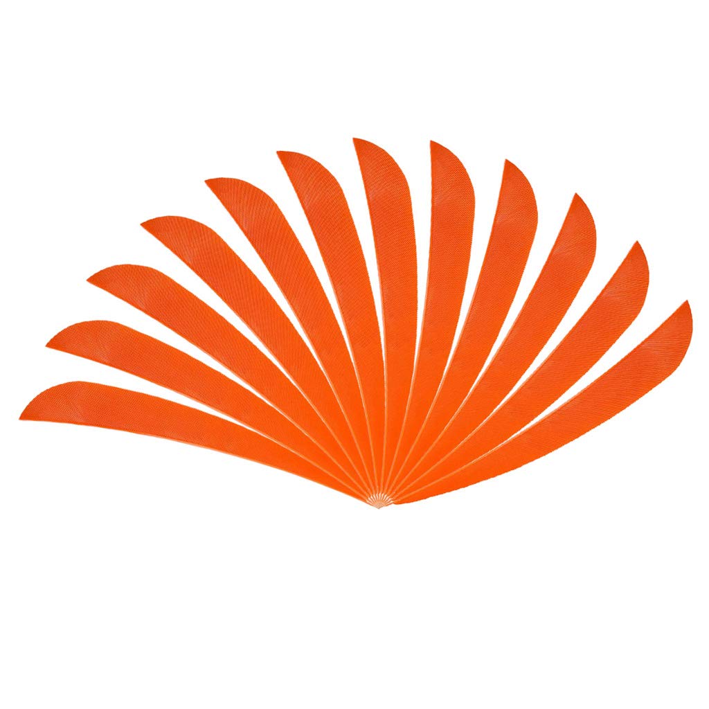 12 Pieces 4 inch Archery Arrow Fletching Right Wing Fletches AI LI WEI (Color : Orange)