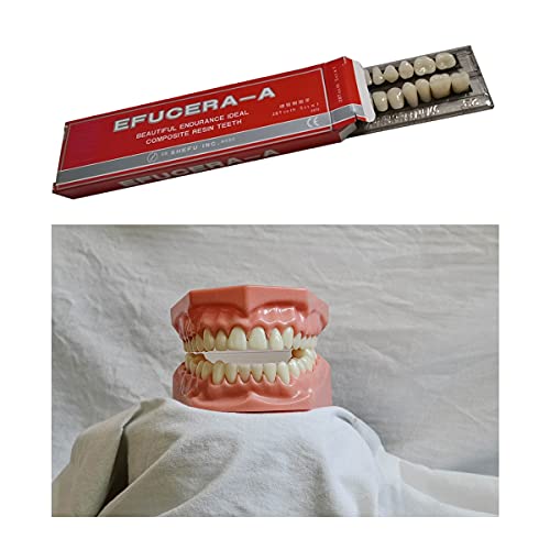 56 Pcs False Teeth Dental Complete Acrylic Resin Denture Teeth, 2 Set Whole Teeth Synthetic Polymer Denture Tooth, 23 Shade A2 Upper + Lower Dental Materials for Replacement, DIY, or Halloween