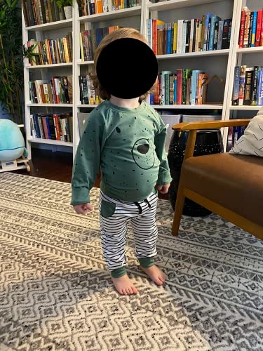 BOUTIKOME Toddler Baby Boys Outfits Infant Long Sleeve Shirts Pants Sets 0-4 Years Kids Fall Winter Sweathirt Pants Clothes (Green,12-18 M(Size:90))