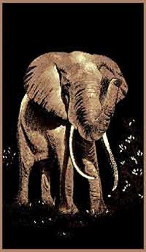 Bold African Elephant Tusks Modern Safari Animal Carpet Area Rug (5β 3β X 7β 5β)