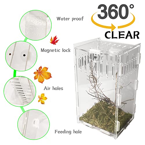5x4x8 inch Magnetic Acrylic Reptile Case, Vertical Transparent Tarantula Enclosure Tank, Micro Habitat Terrariums Suitable Insect, Snails, Hermit Crabs, Lizards, Frogs, clear, Vertical:5x4x8(LxWxh)in