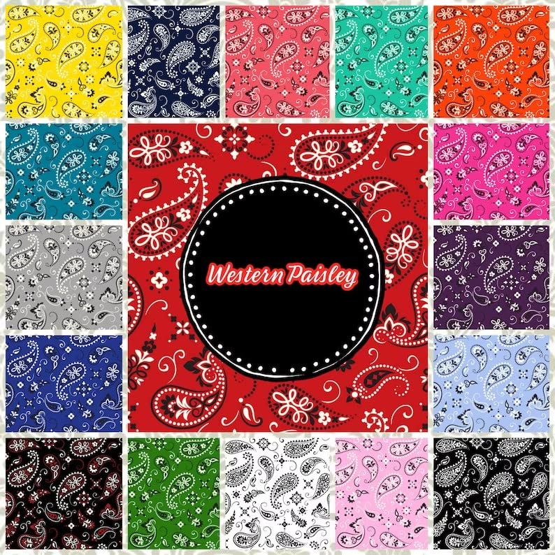 17 Pieces Fabric Cute, Beautiful 2.5 inch Strips Western Paisley Jelly Roll, Cute 100% Cotton Fabric Quilting Strips 2.5"