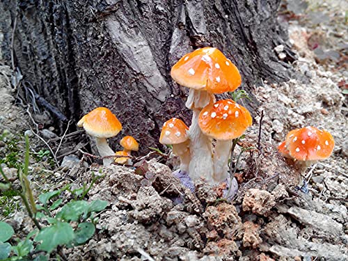 6 Pcs Mini Mushroom Miniature Figurines Resin Figurines Fairy Garden Miniature Moss Landscape DIY Terrarium Crafts Ornament Accessories for Home Décor