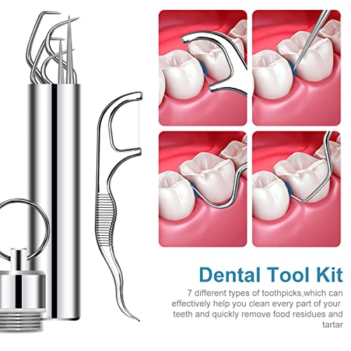 7Pcs 2 Set Portable Stainless Steel Toothpicks Pocket Set, Reusable Metal Toothpicks Cleaning Kit with Holder for Outdoor Picnic Camping Traveling β¦