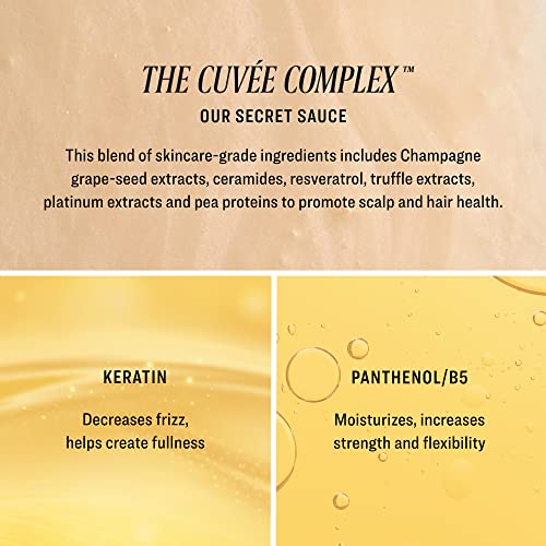 Cuvee Shampoo - 10 fl oz - Cleanses, Fortifies & Protects Hair - Includes Vitamin B & Panthenol - Champagne-Infused Formula with Resveratrol & Ceramides - Color Safe