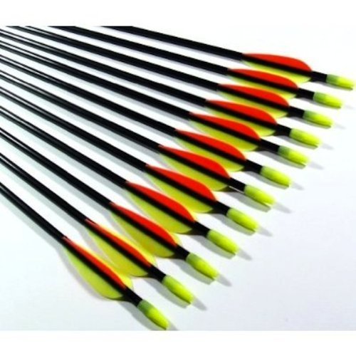 12 Shiny BlackĀ® 30" Fiberglass Target Practice Arrows