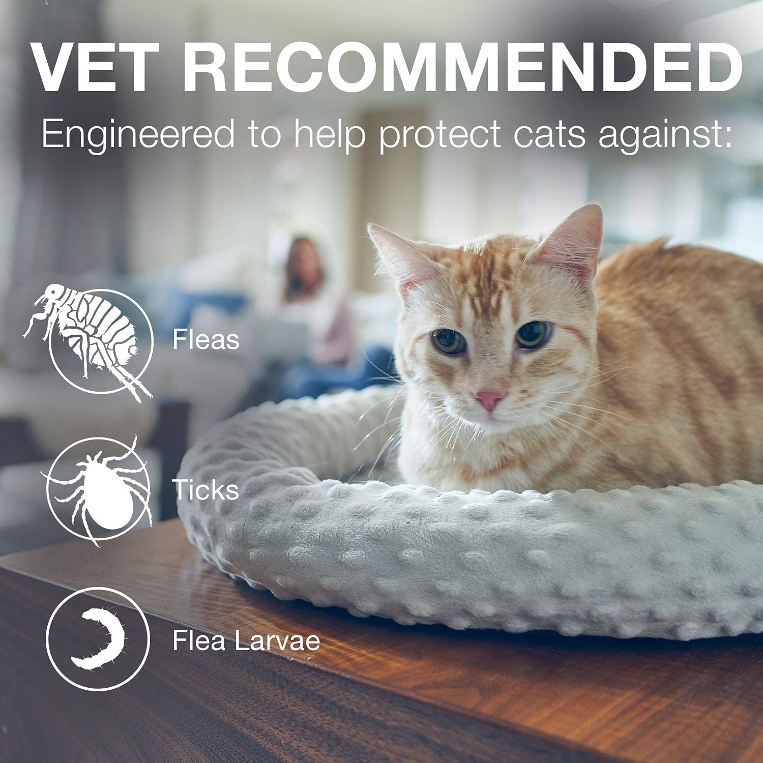 Bayer Seresto Flea and Tick Collar for Cat, all weights, 2 Pack With HS Pets Collapsible Pet Bowl