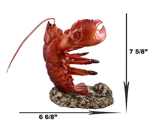 Ebros Nautical Coastal Dancing Red Lobster Drunken Cajun Creole Delight Wine Bottle Holder Caddy Figurine Home Kitchen Dining Party Hosting Decor Sea Life Marine Shell Seafood Shrimping Fishing Statue